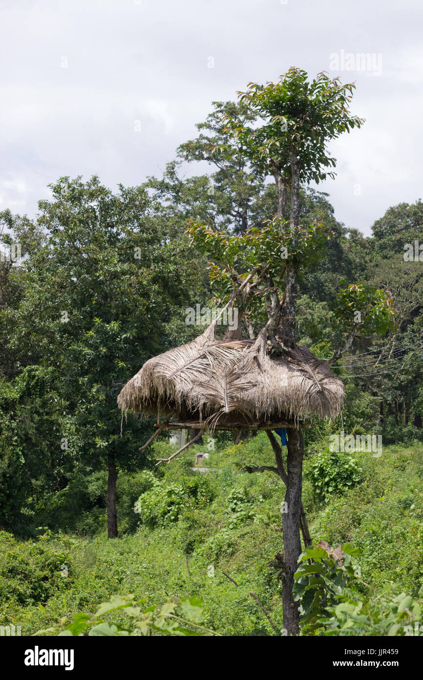 Tropical home made shelter hi-res stock photography and images - Alamy