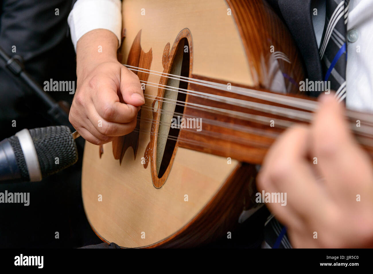A Musician Playing Note on Lute Stock Photo - Alamy