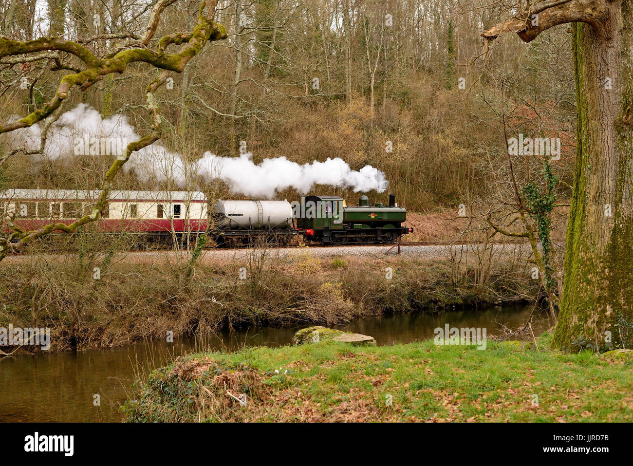 Steam train beside the river Dart on the South Devon Railway, hauled by ...