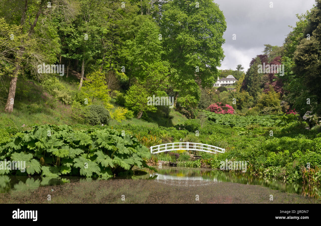 Trees garden gardens hi-res stock photography and images - Alamy