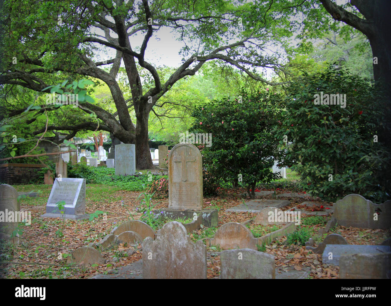 Magnolia cemetery hi-res stock photography and images - Alamy