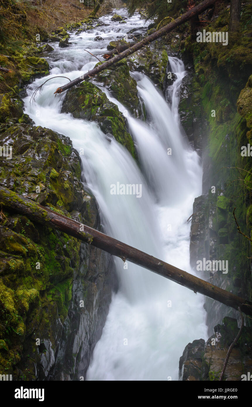 Sol Duc Falls trail in Olympic National Park Stock Photo - Alamy