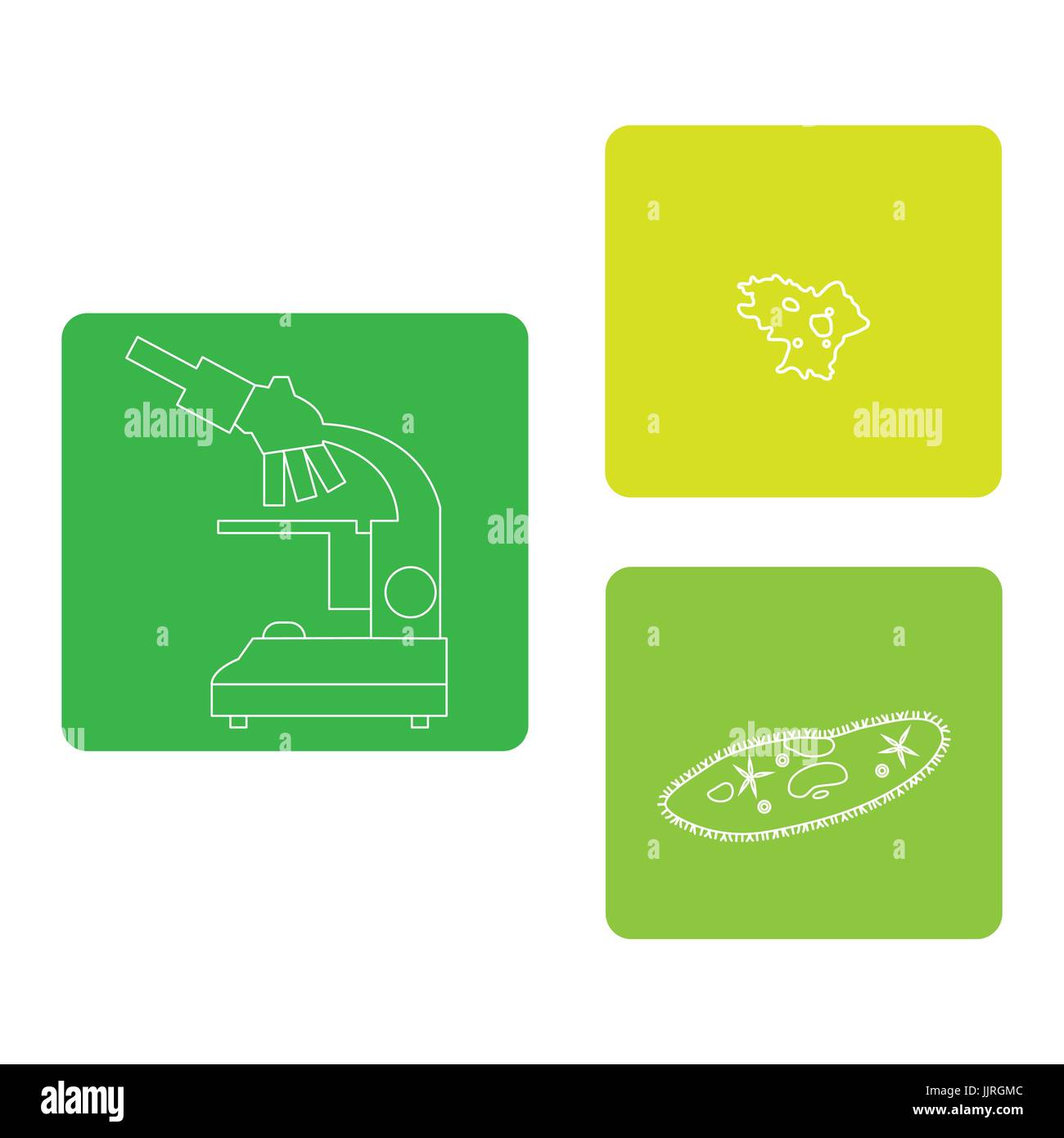 Protozoa amoeba Stock Vector Images - Alamy