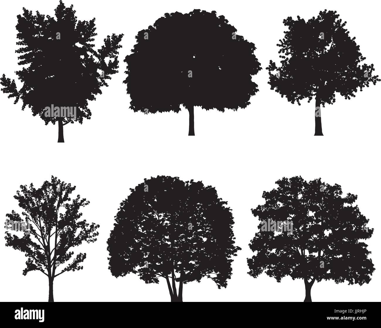 Vector illustration of tree silhouettes Stock Vector Image & Art - Alamy