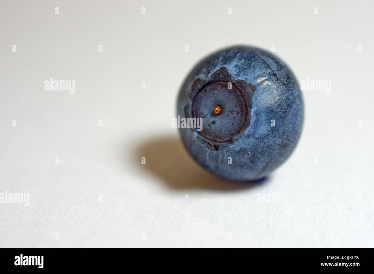 Indigo berry hi-res stock photography and images - Alamy