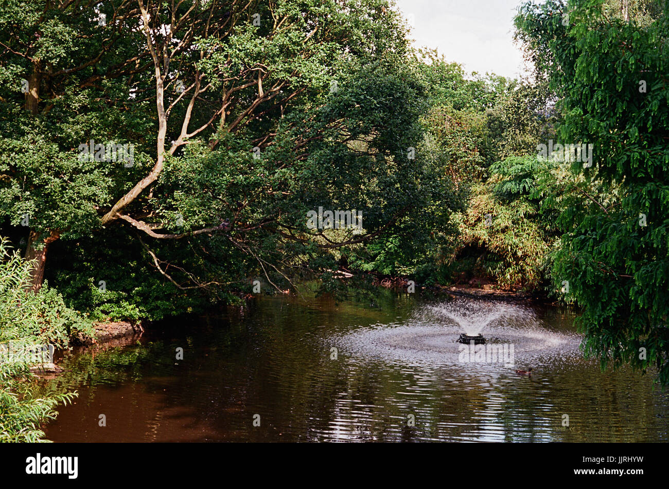 Lake at Springfield Park, Upper Clapton, near Stamford Hill, North ...