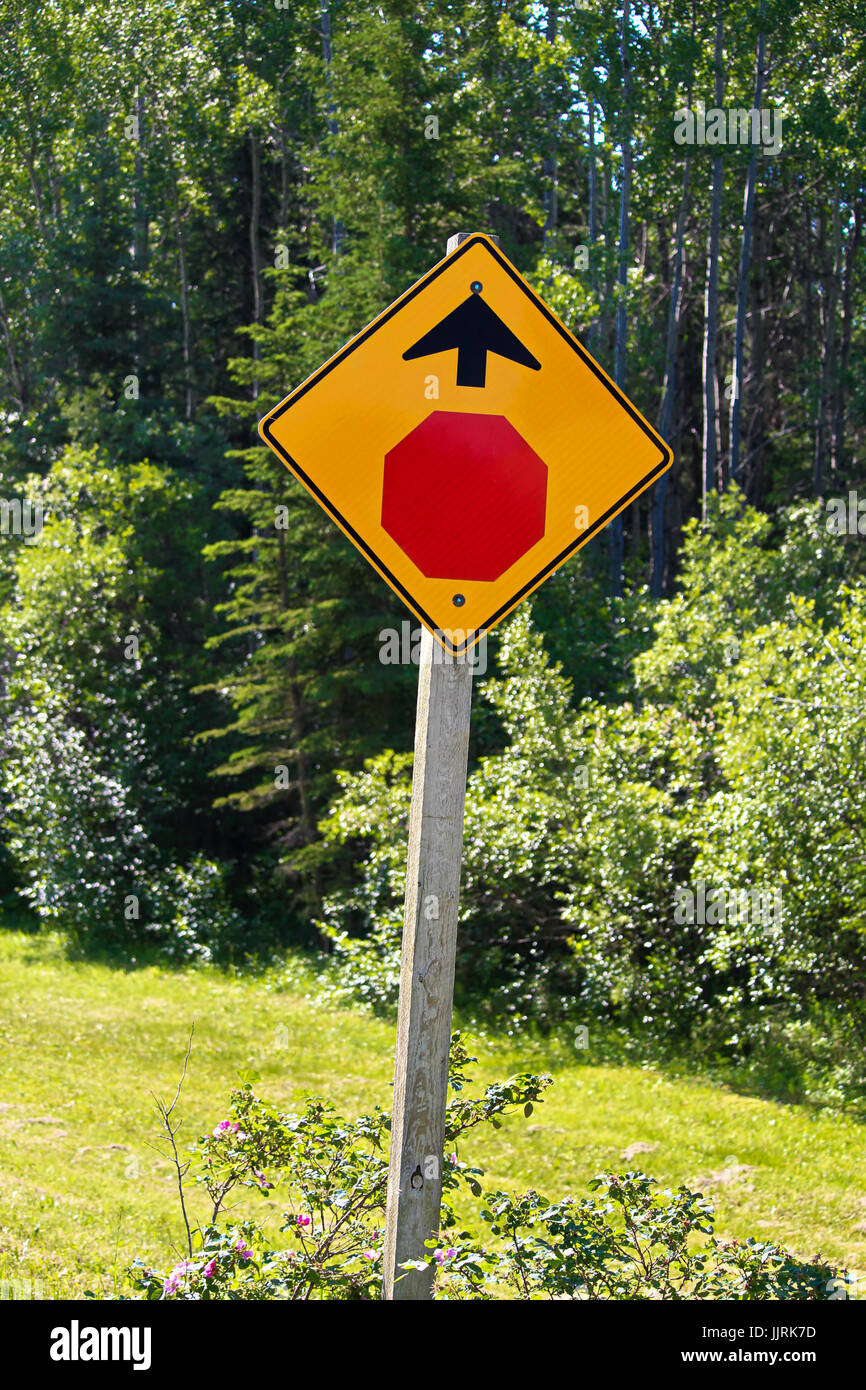 A stop sign ahead sign with trees in the background Stock Photo - Alamy