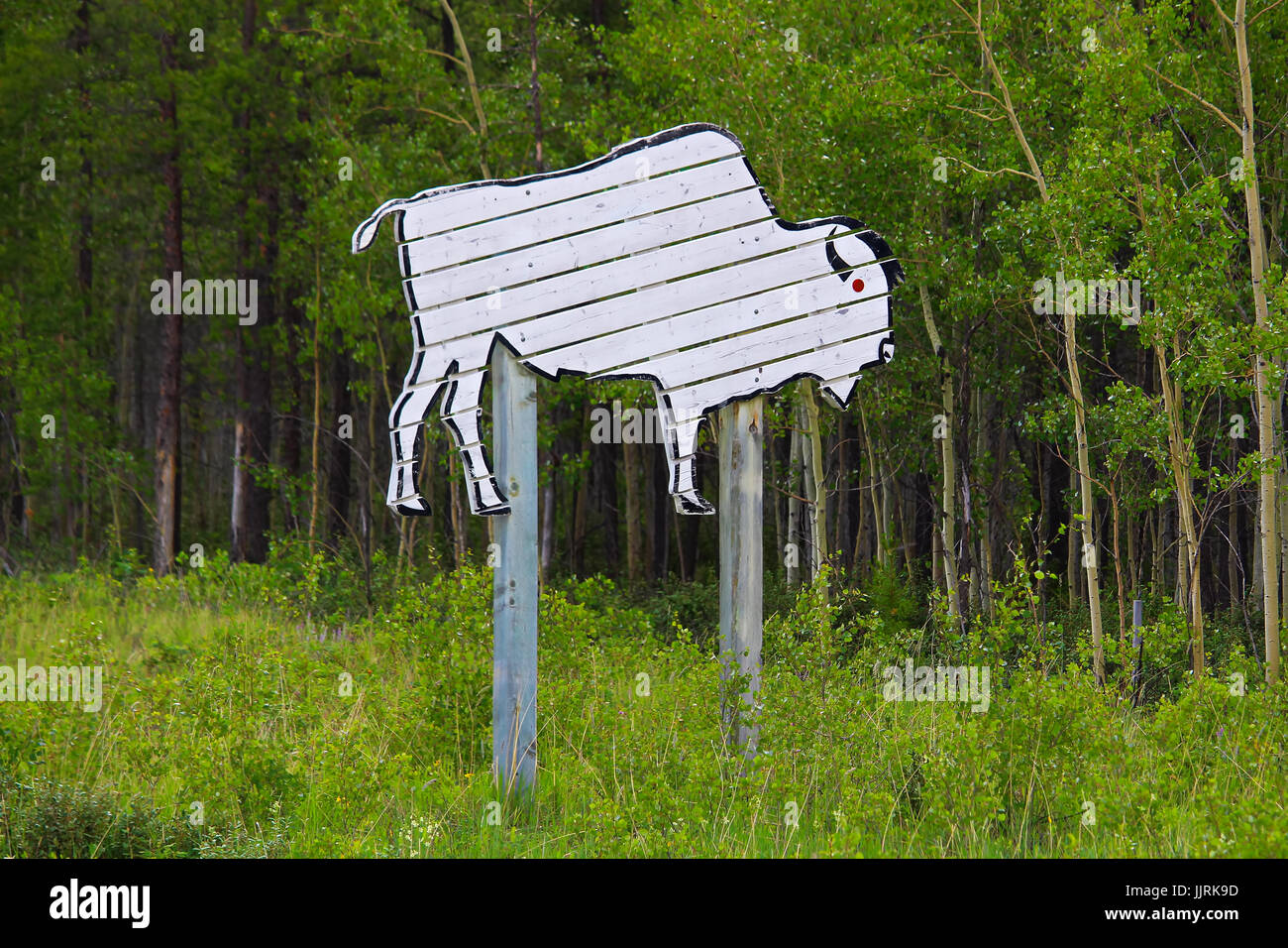 Buffalo warning sign hi-res stock photography and images - Alamy