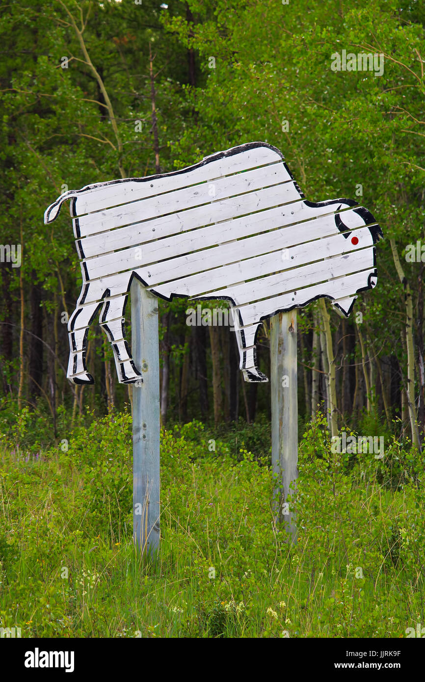 A wooden bison warning sign along the highway Stock Photo - Alamy