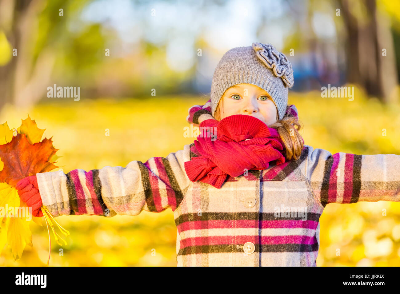 Happy little girl with autumn leaves Stock Photo - Alamy
