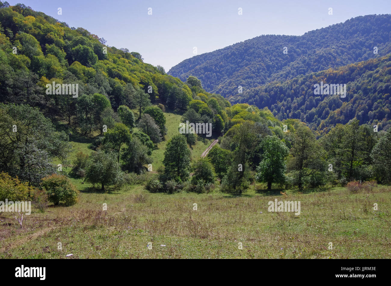 Dilijan national park hi-res stock photography and images - Alamy