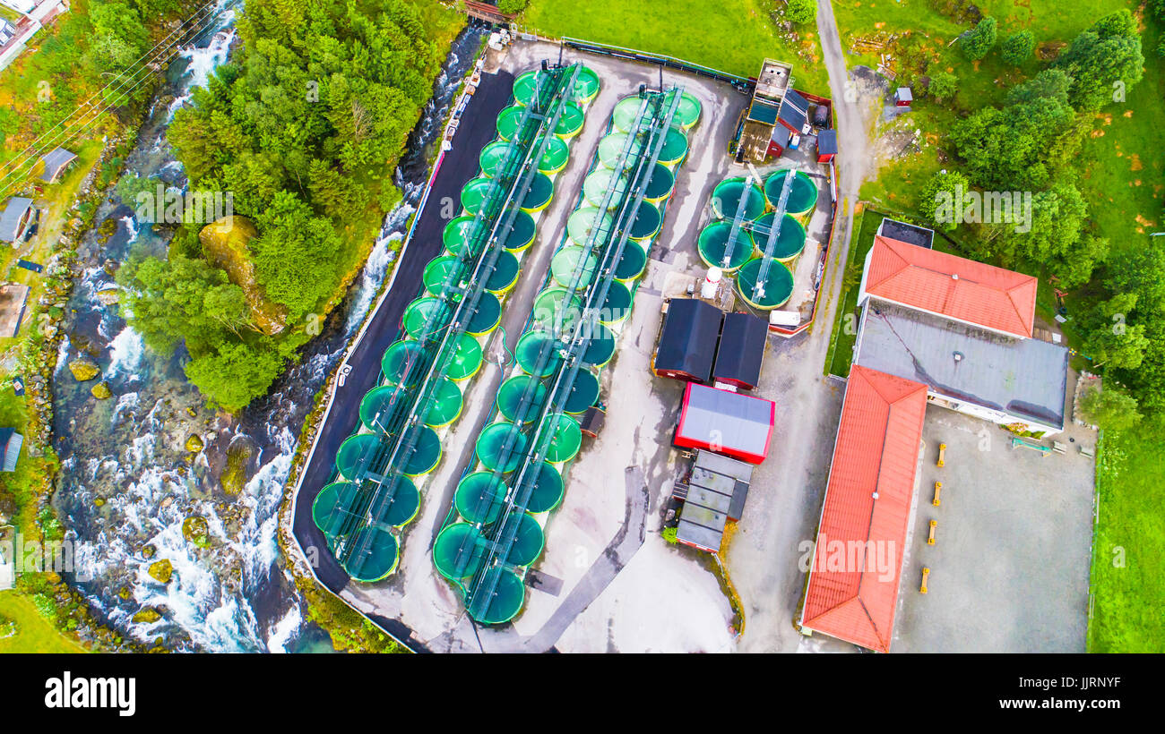Aquaculture fish farming hi-res stock photography and images - Alamy