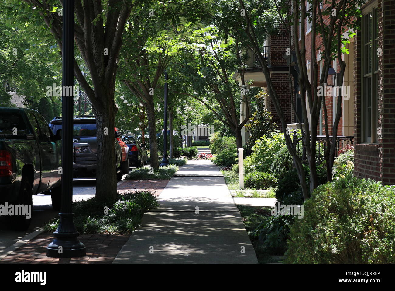 Suburban tree lined street hi-res stock photography and images - Alamy
