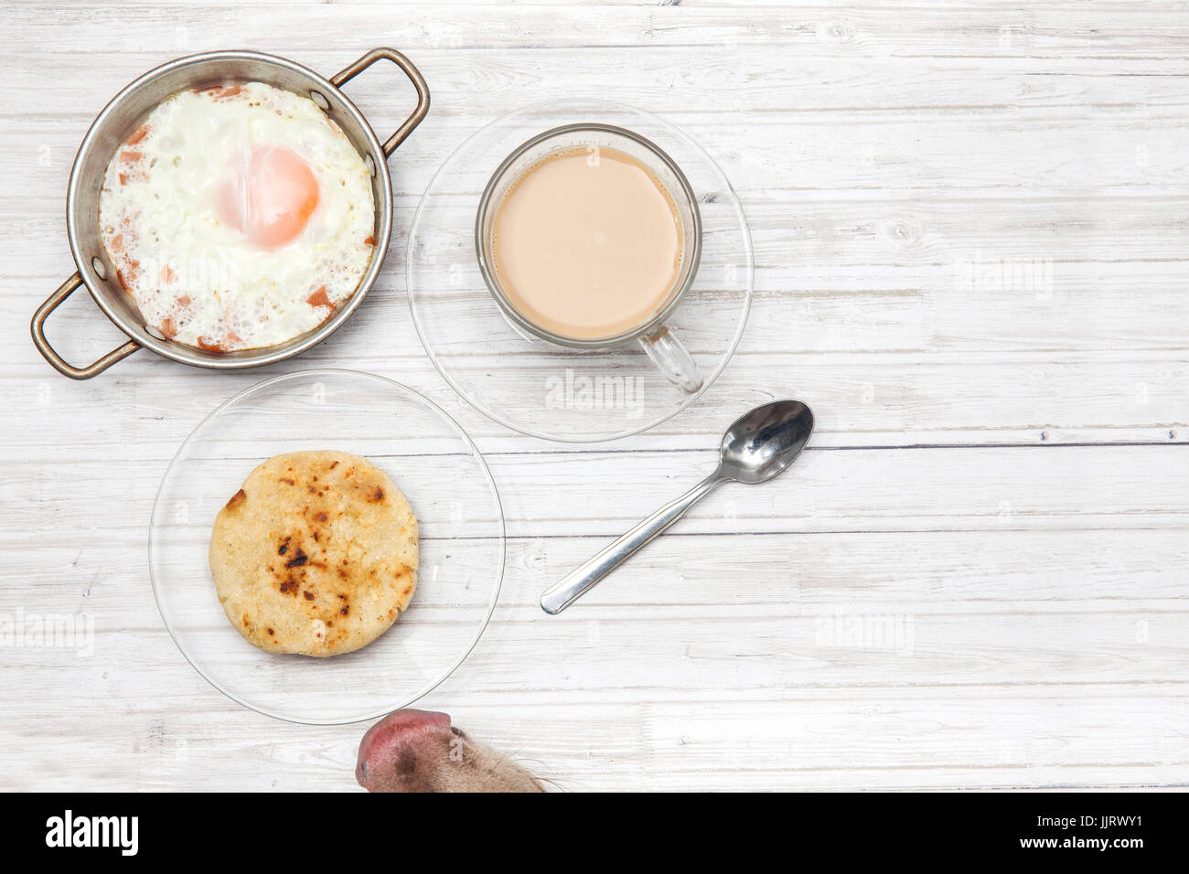 Dog smelling human food on wooden white table Stock Photo - Alamy