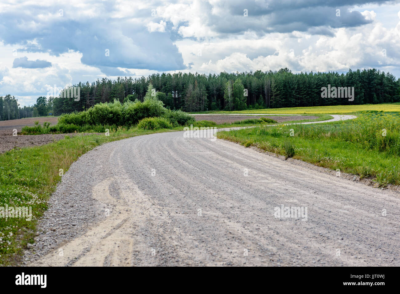 empty road in the countryside with trees and meadows in surrounding ...