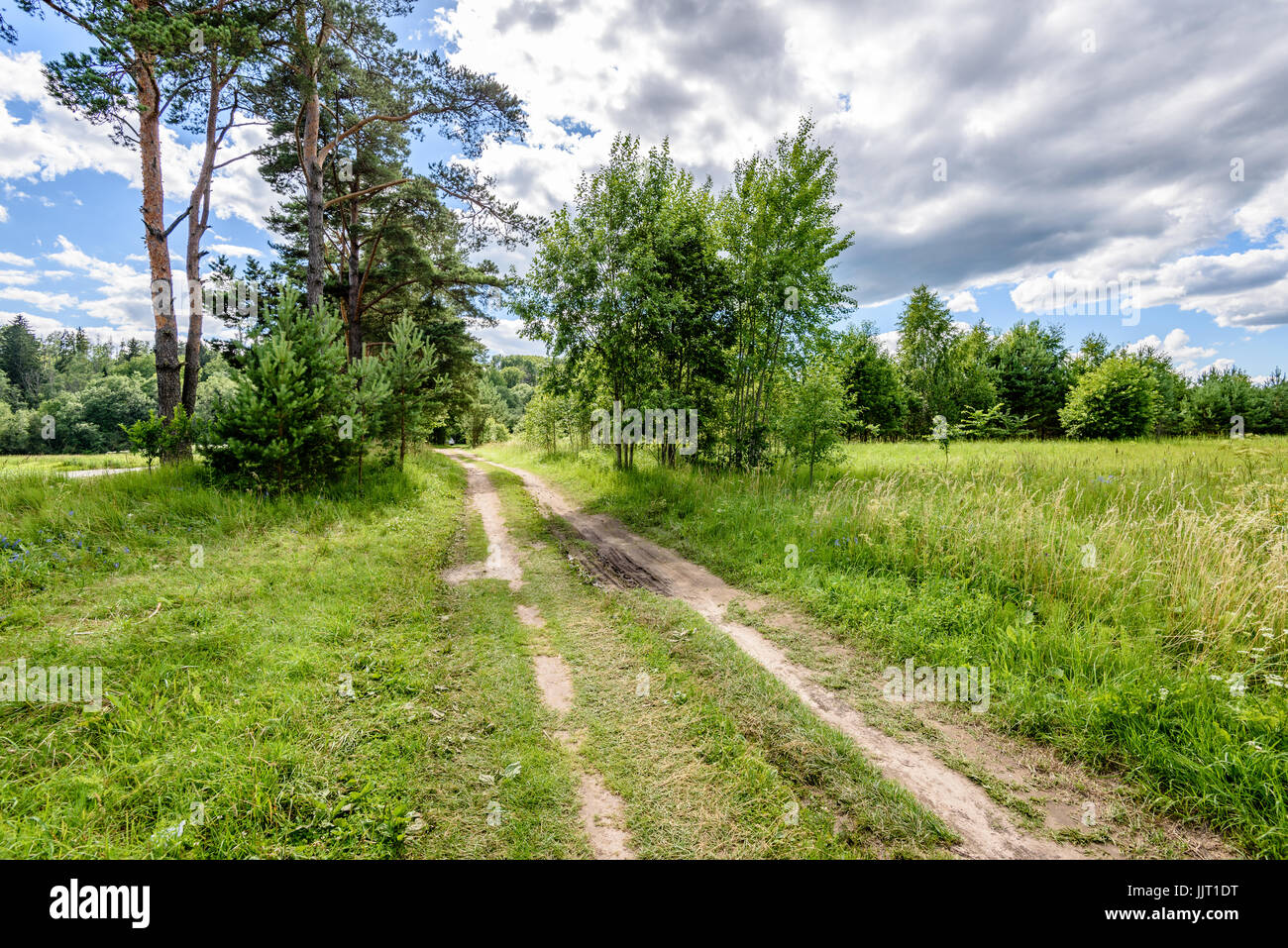 empty road in the countryside with trees and meadows in surrounding ...