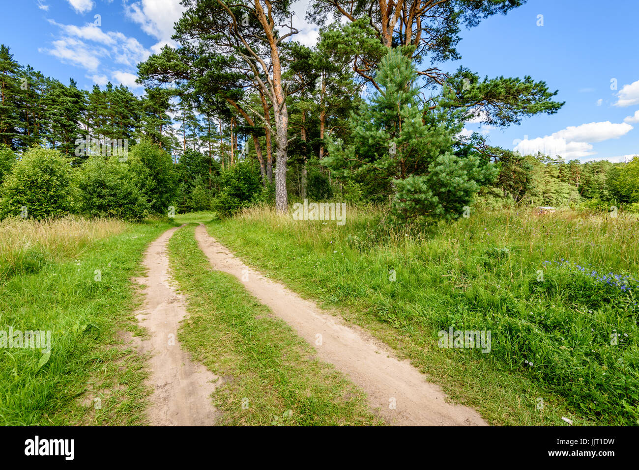 empty road in the countryside with trees and meadows in surrounding ...
