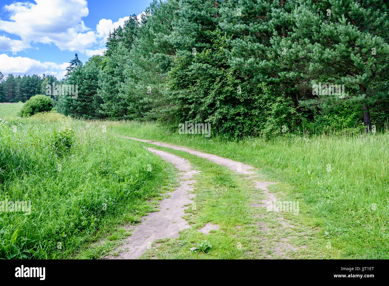 empty road in the countryside with trees and meadows in surrounding ...