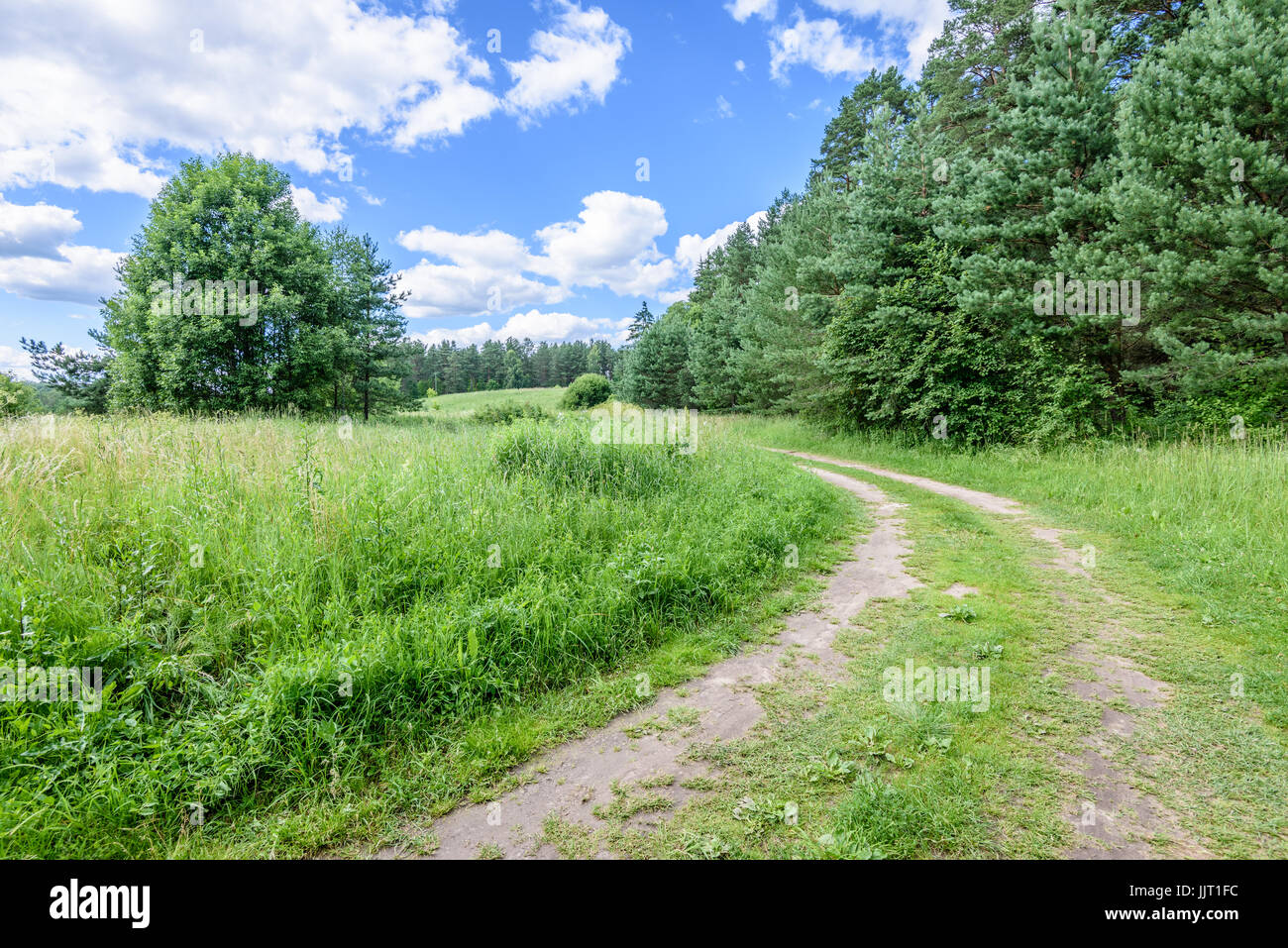 empty road in the countryside with trees and meadows in surrounding ...