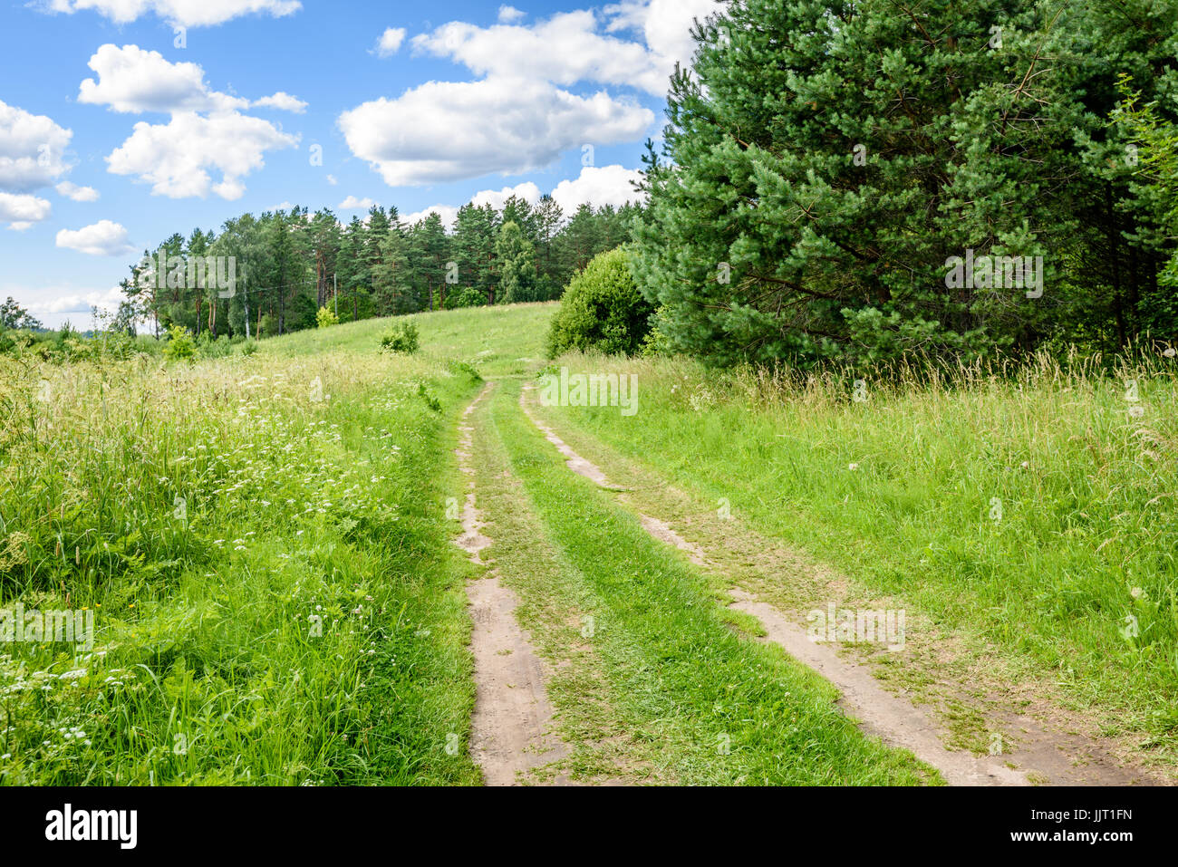 empty road in the countryside with trees and meadows in surrounding ...