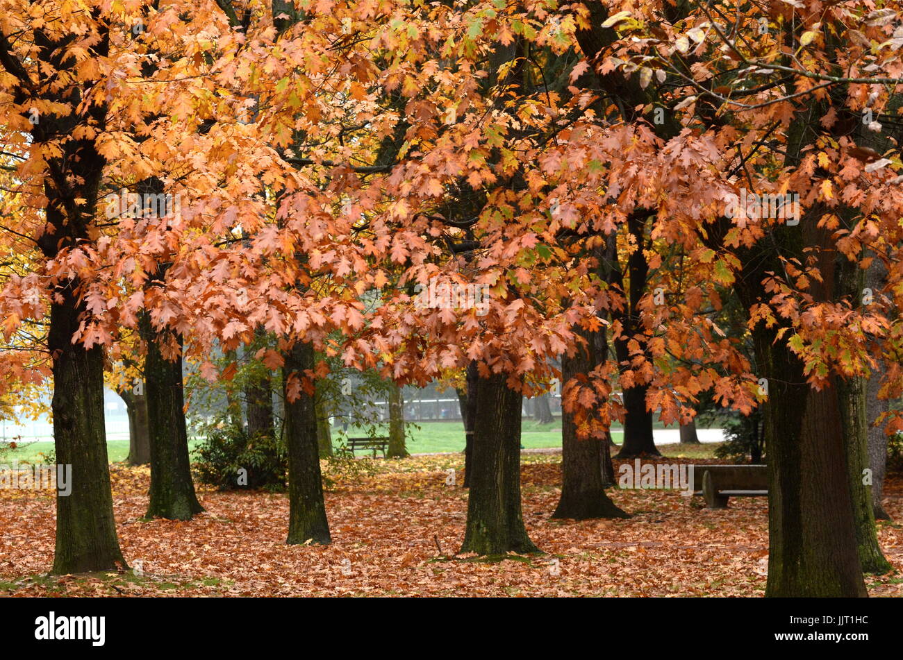 Parilly park lyon hi-res stock photography and images - Alamy