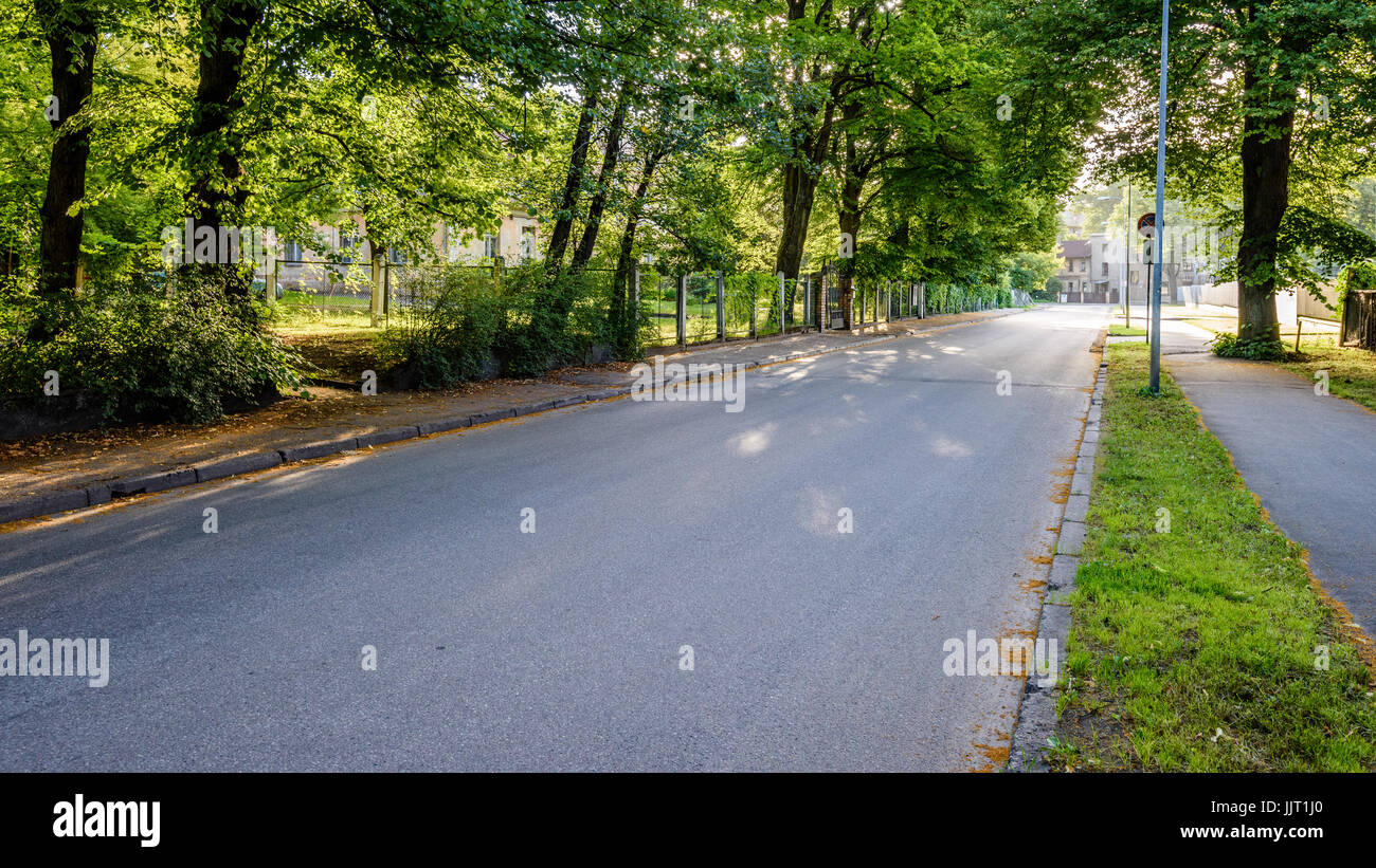 empty road in the city with trees and houses in surrounding ...