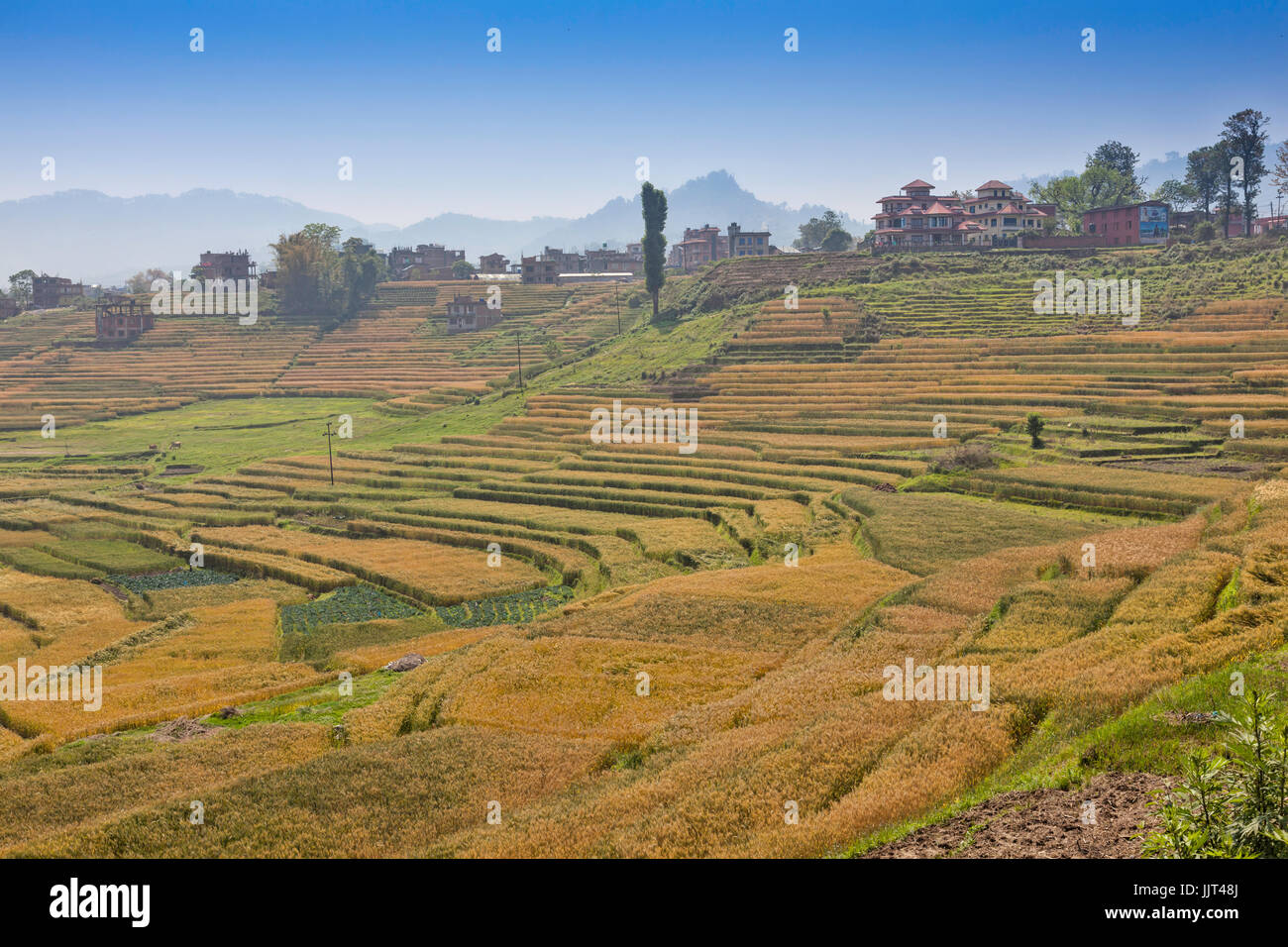 Rice terraces in kathmandu valley hi-res stock photography and images ...