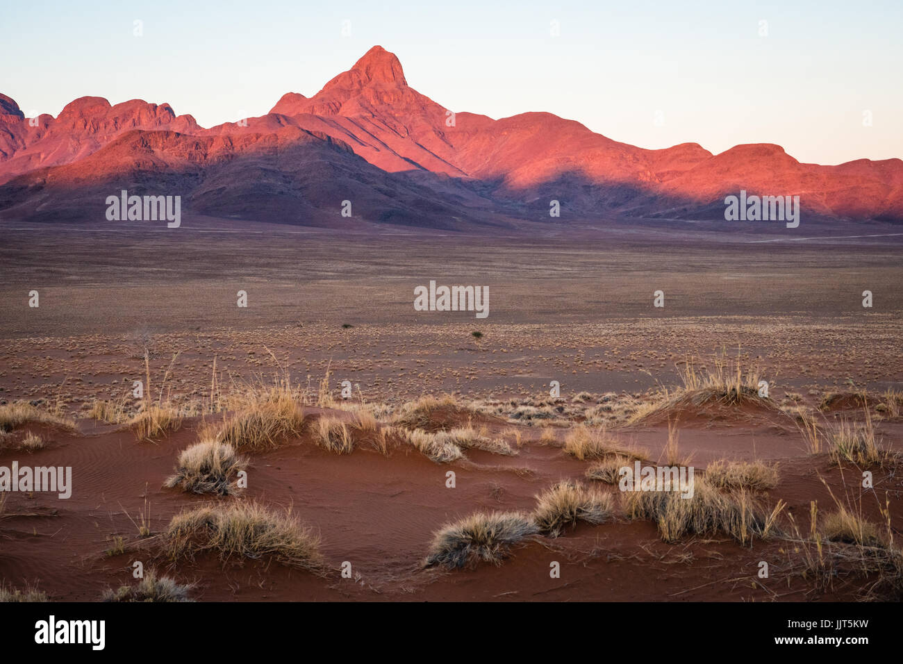 Red sand dunes of the NamibRand Nature Reserve in Namibia, Africa Stock ...