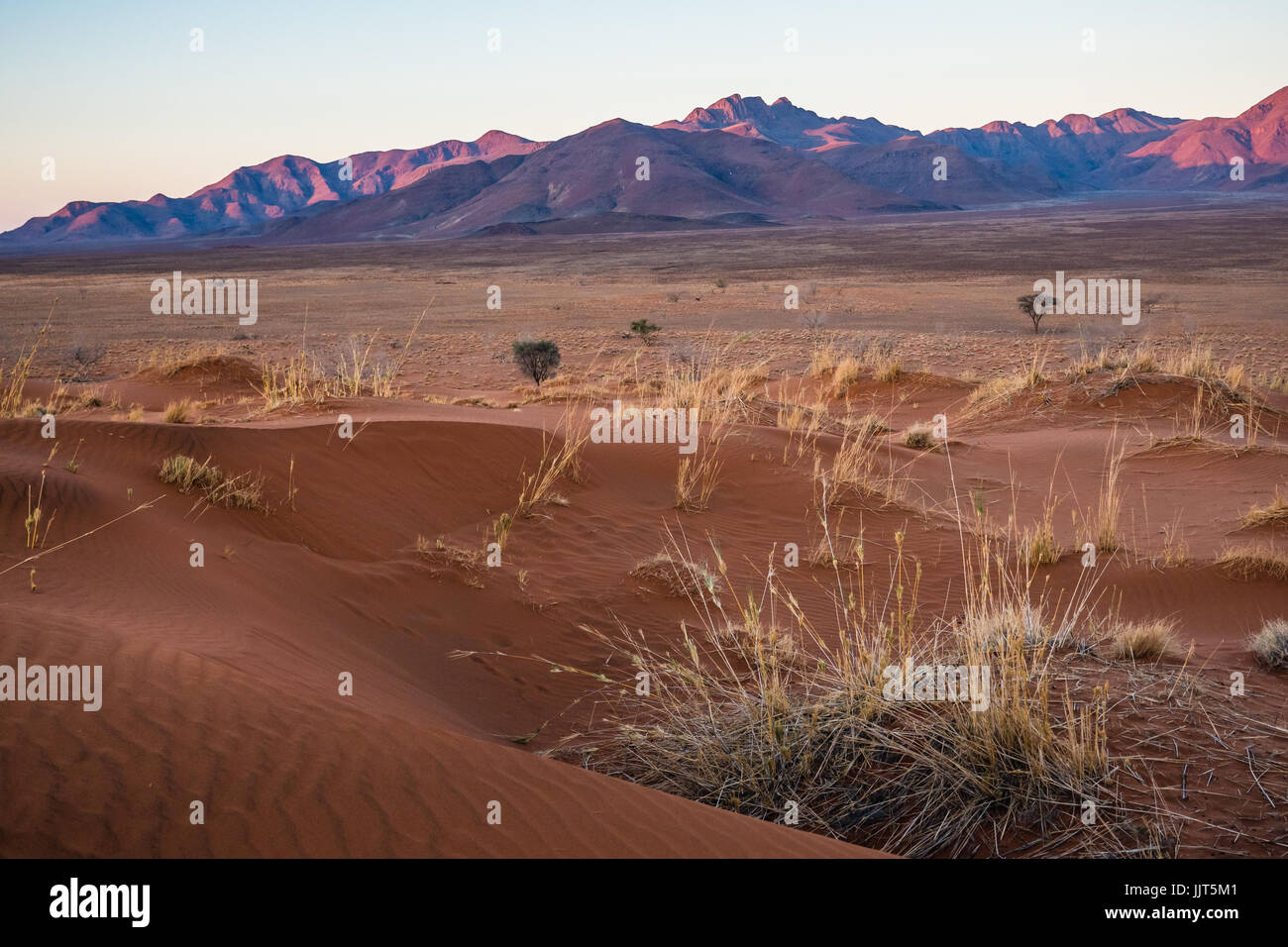 Red sand dunes of the NamibRand Nature Reserve in Namibia, Africa Stock ...
