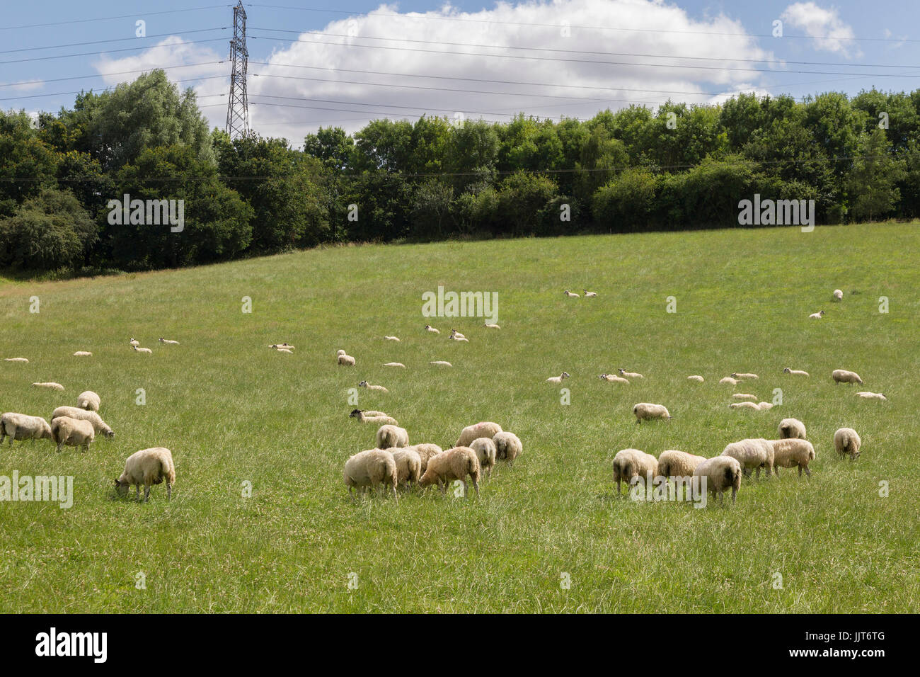 Cogenhoe hi-res stock photography and images - Alamy