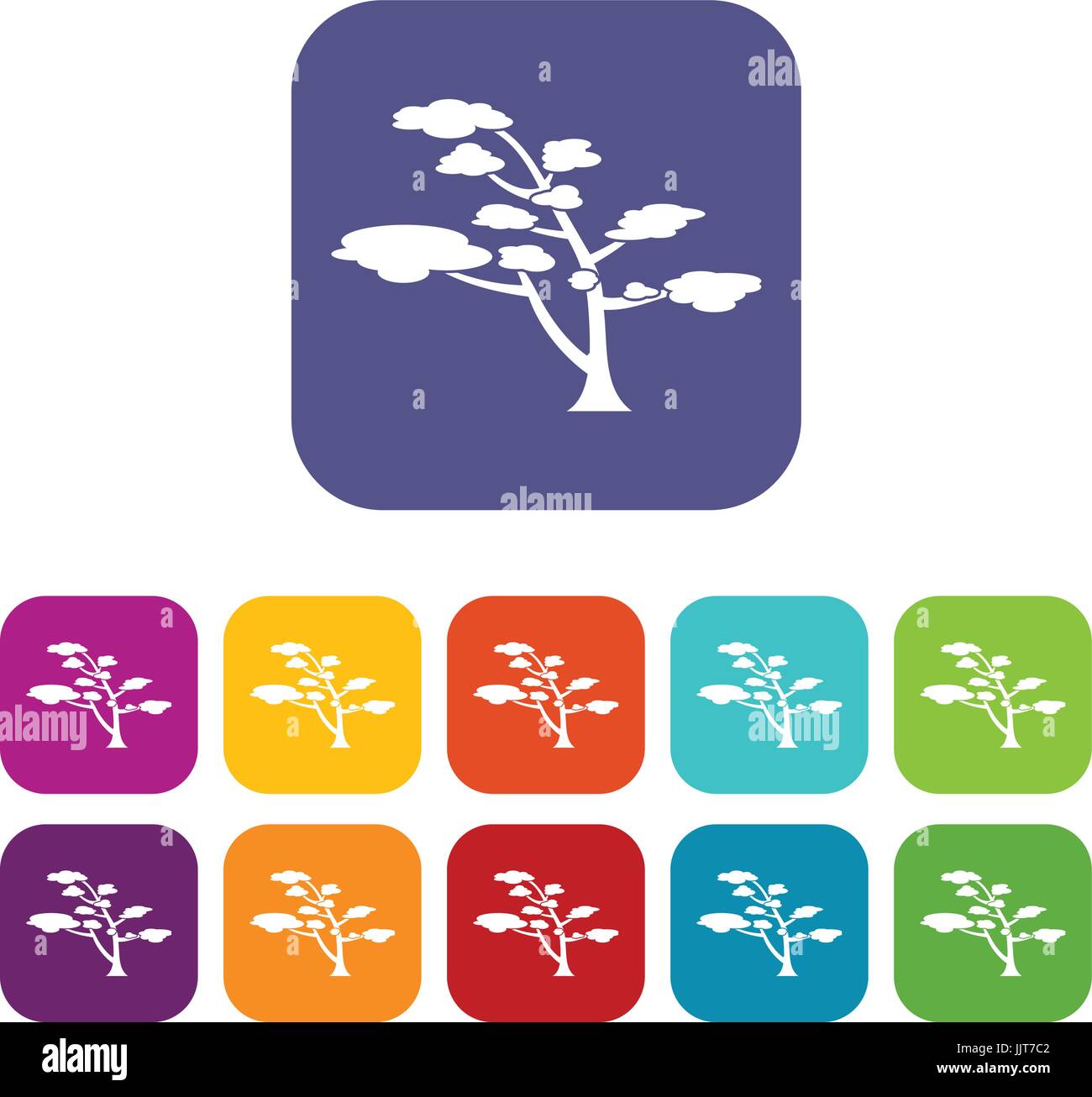 Cedar icons set Stock Vector Image & Art - Alamy