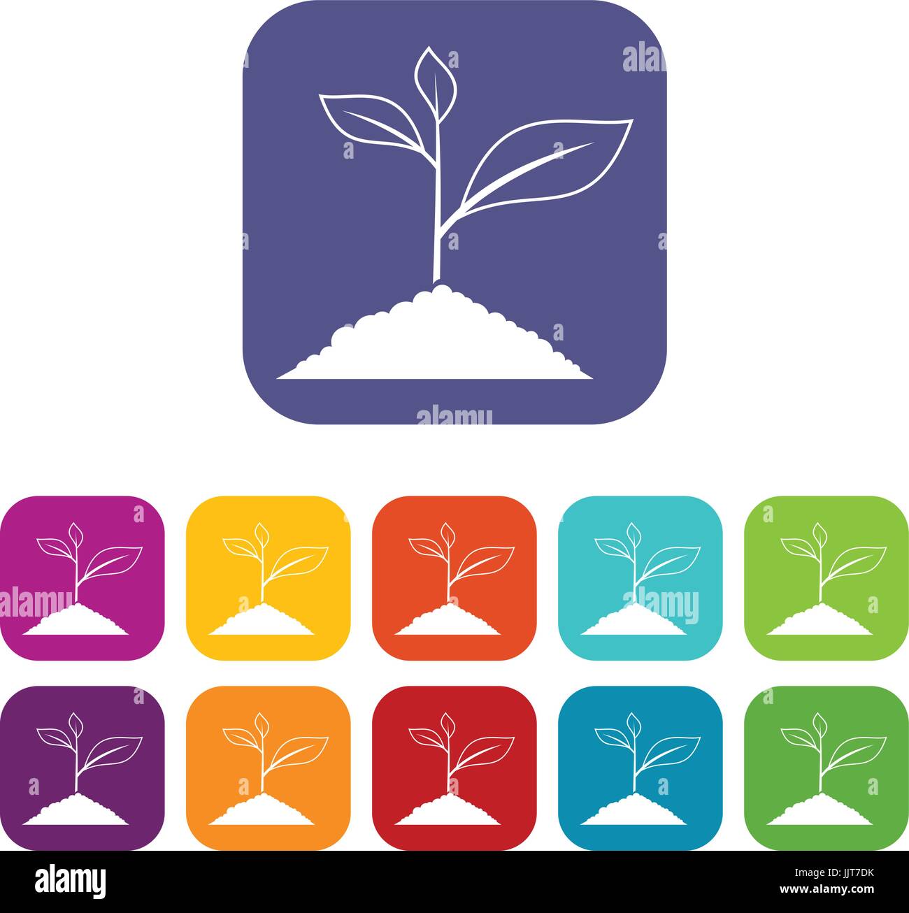 Growing plant icons set Stock Vector Image & Art - Alamy