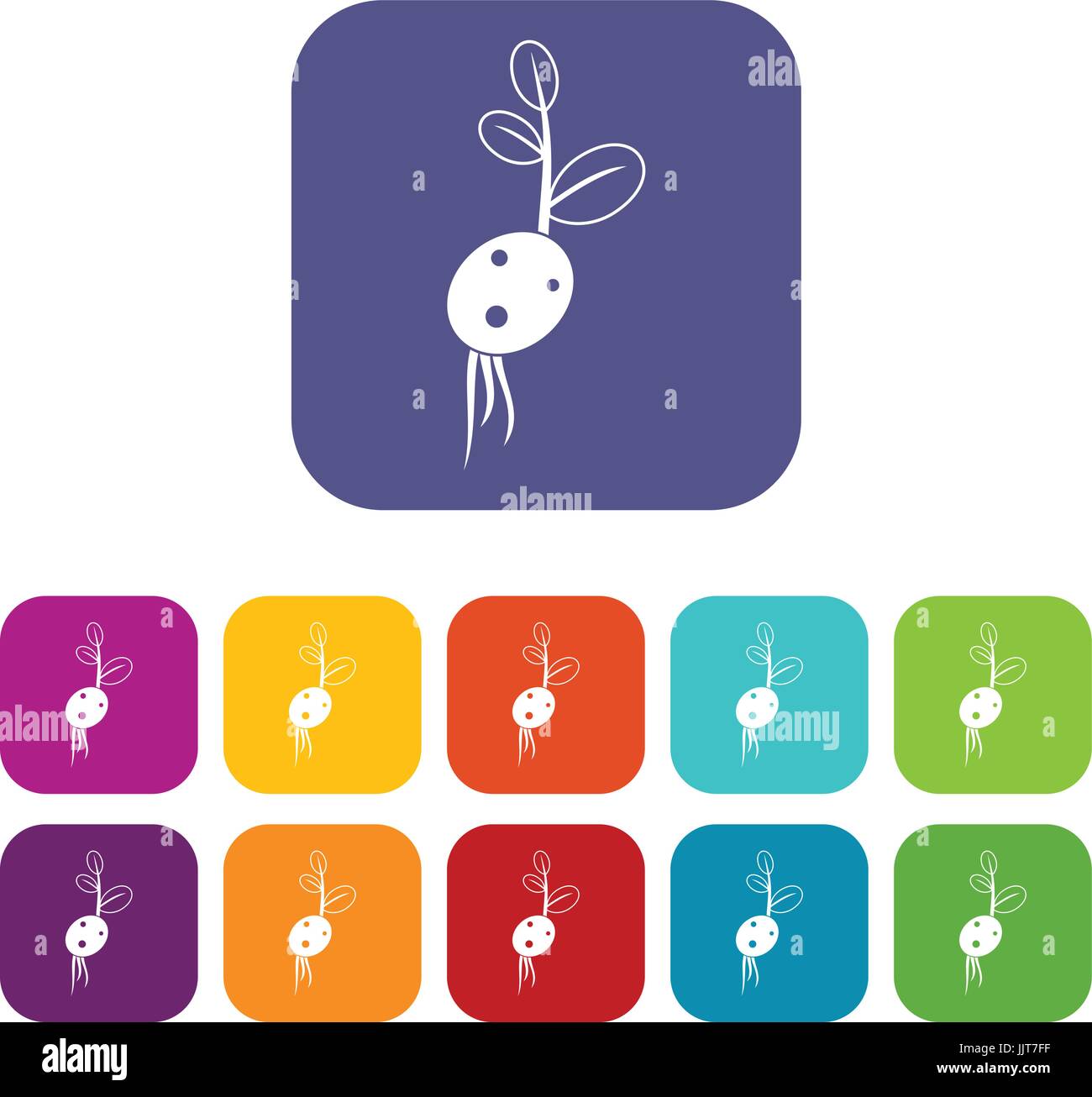 Potato sprout from the root icons set Stock Vector Image & Art - Alamy
