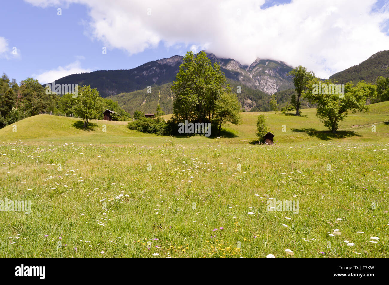 View of a valley and green hills in the Austrian Tyrol Stock Photo - Alamy