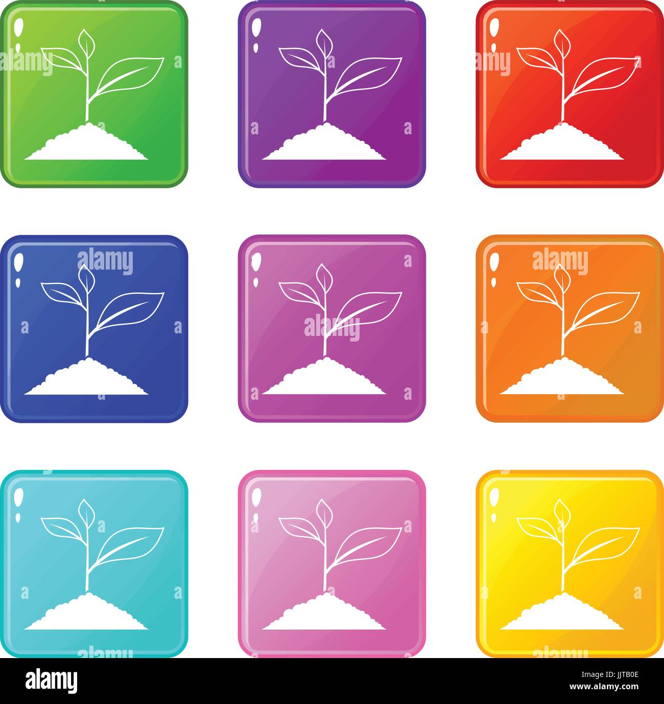 Growing plant set 9 Stock Vector Image & Art - Alamy