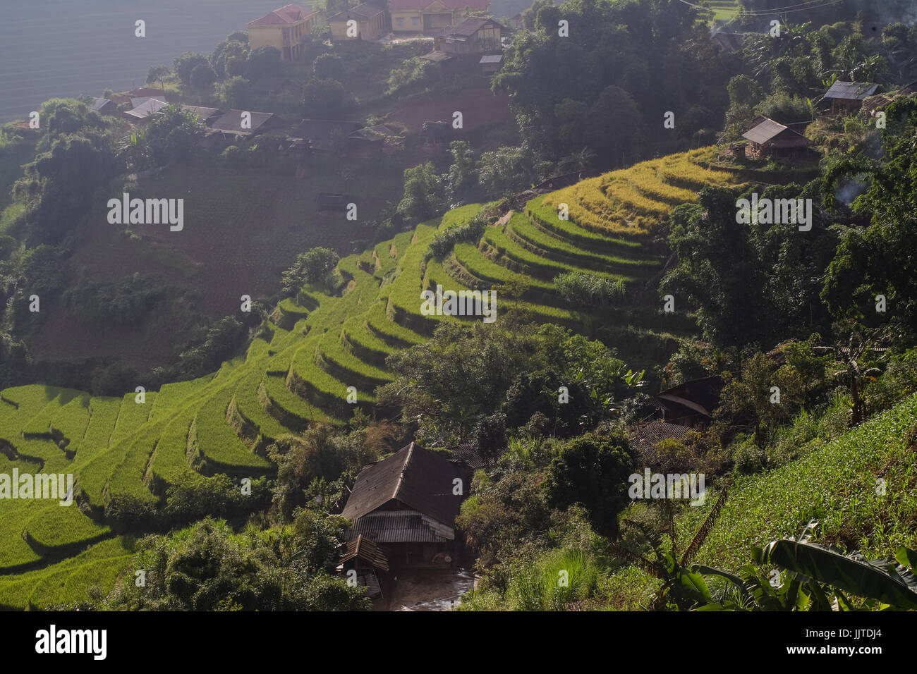 Terraced rice field at summer in Sapa, Vietnam. Sapa is a beautiful ...