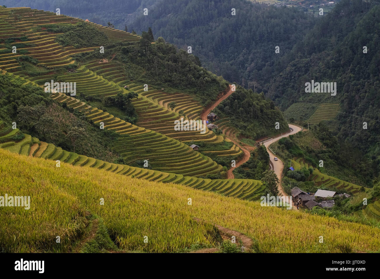 Mountain scenery with rice field at summer in Sapa, Vietnam. Sapa is a ...