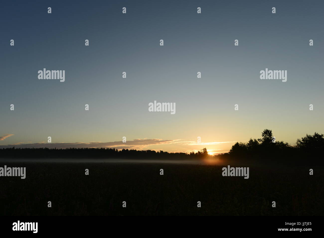 First sunshine hi-res stock photography and images - Alamy