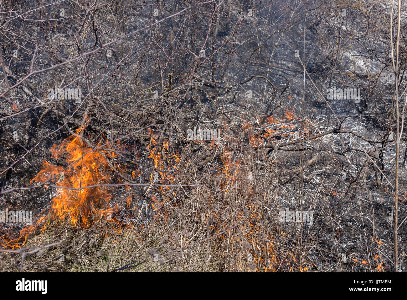 Grass fire in the field. Abuse of environment Stock Photo - Alamy