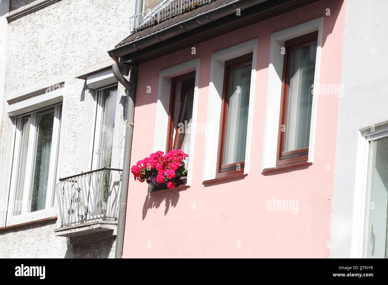 house with windows and Flower pot Stock Photo - Alamy