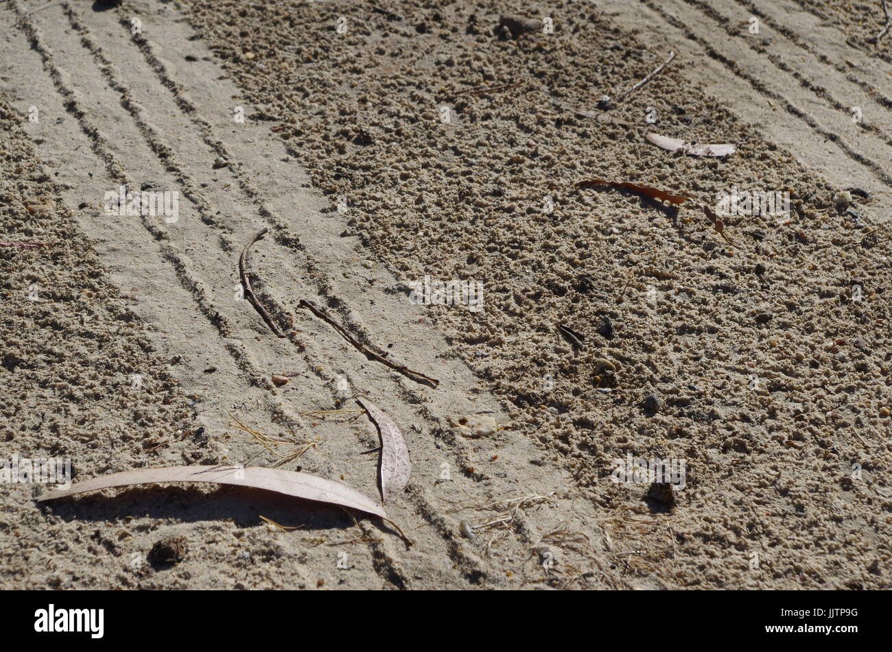 Tire marks on unpaved road. Adventure and motorsports Stock Photo - Alamy