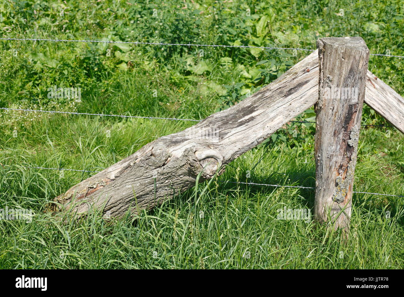 Interforefather hi-res stock photography and images - Alamy