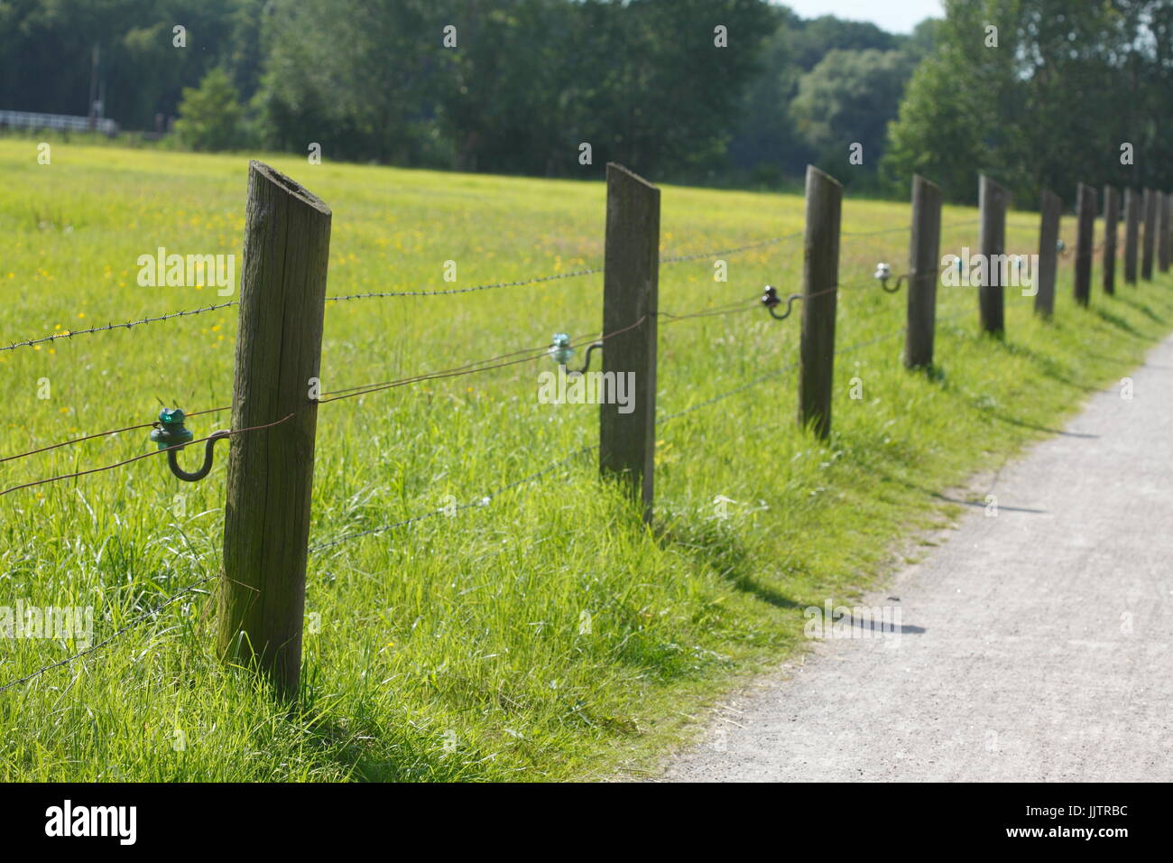 old Wooden meadow fence with fence posts Stock Photo - Alamy