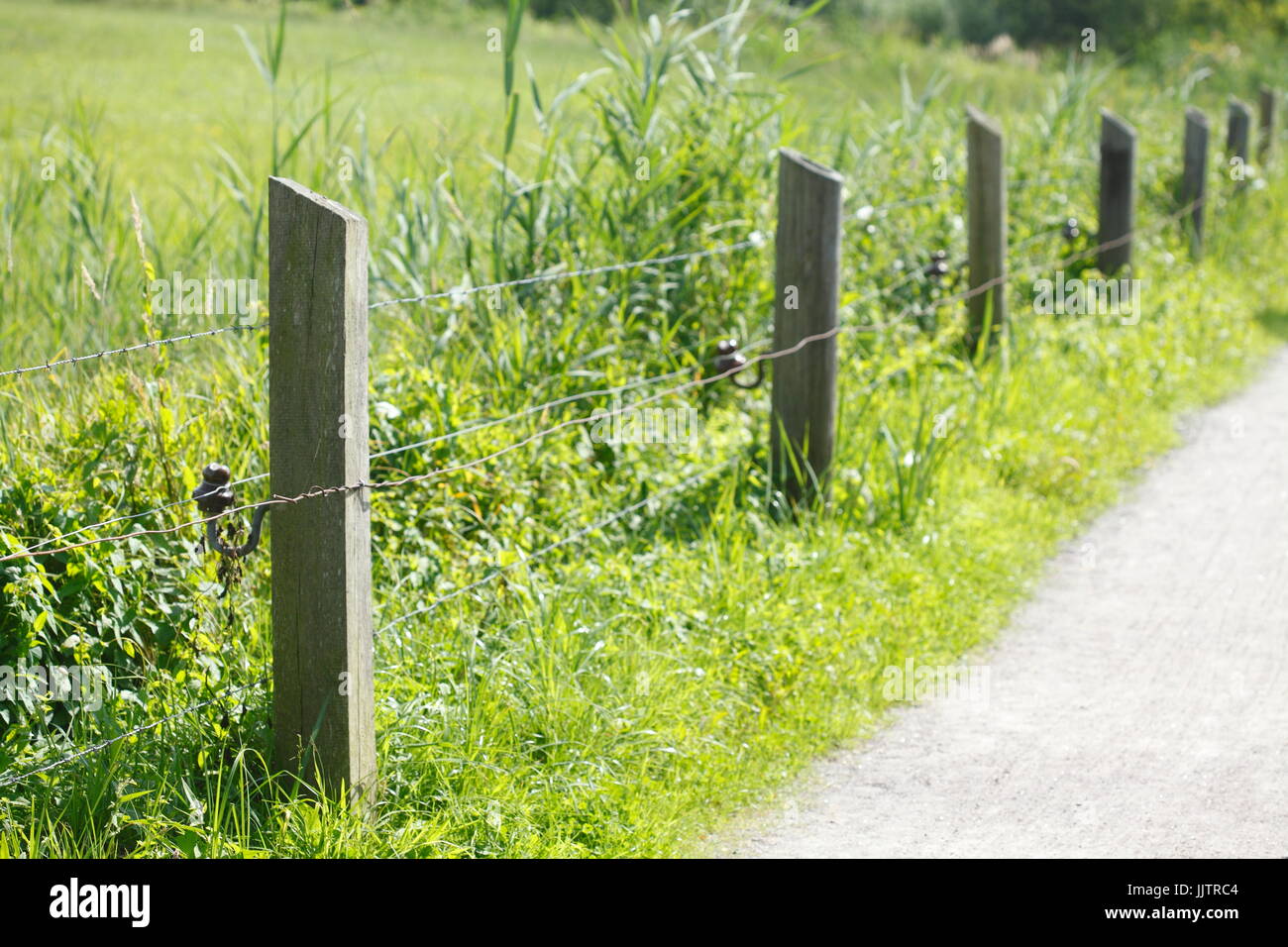 old Wooden meadow fence with fence posts Stock Photo - Alamy