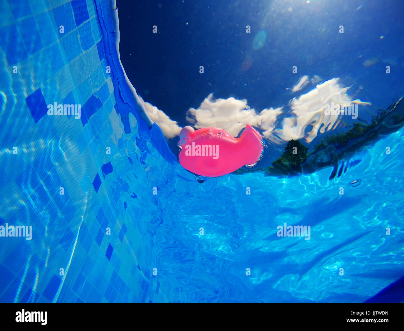 Generic rubber fish toy floating in swimming pool, summertime activity ...