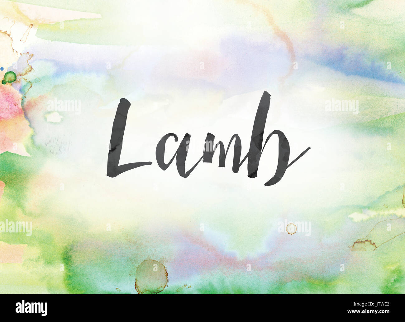 The word Lamb concept and theme written in black ink on a colorful ...