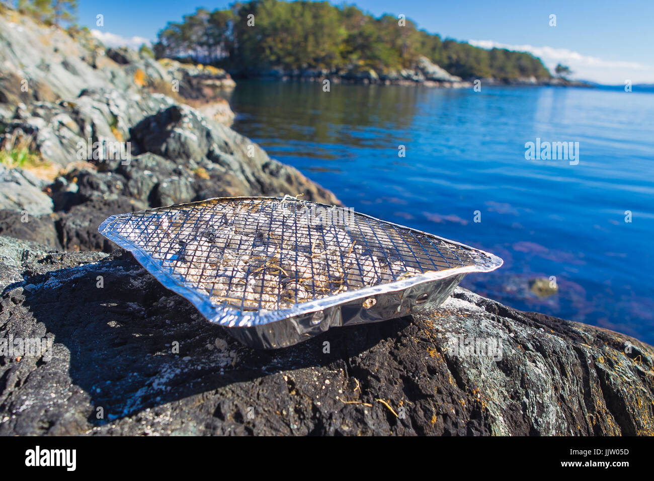 Disposable charcoal grill hi-res stock photography and images - Alamy