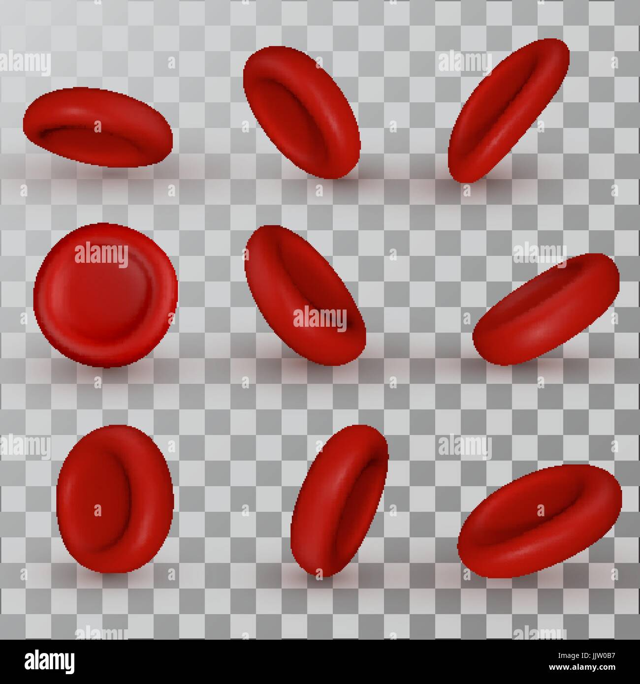 Vector red Blood Cells Stock Vector Image & Art - Alamy