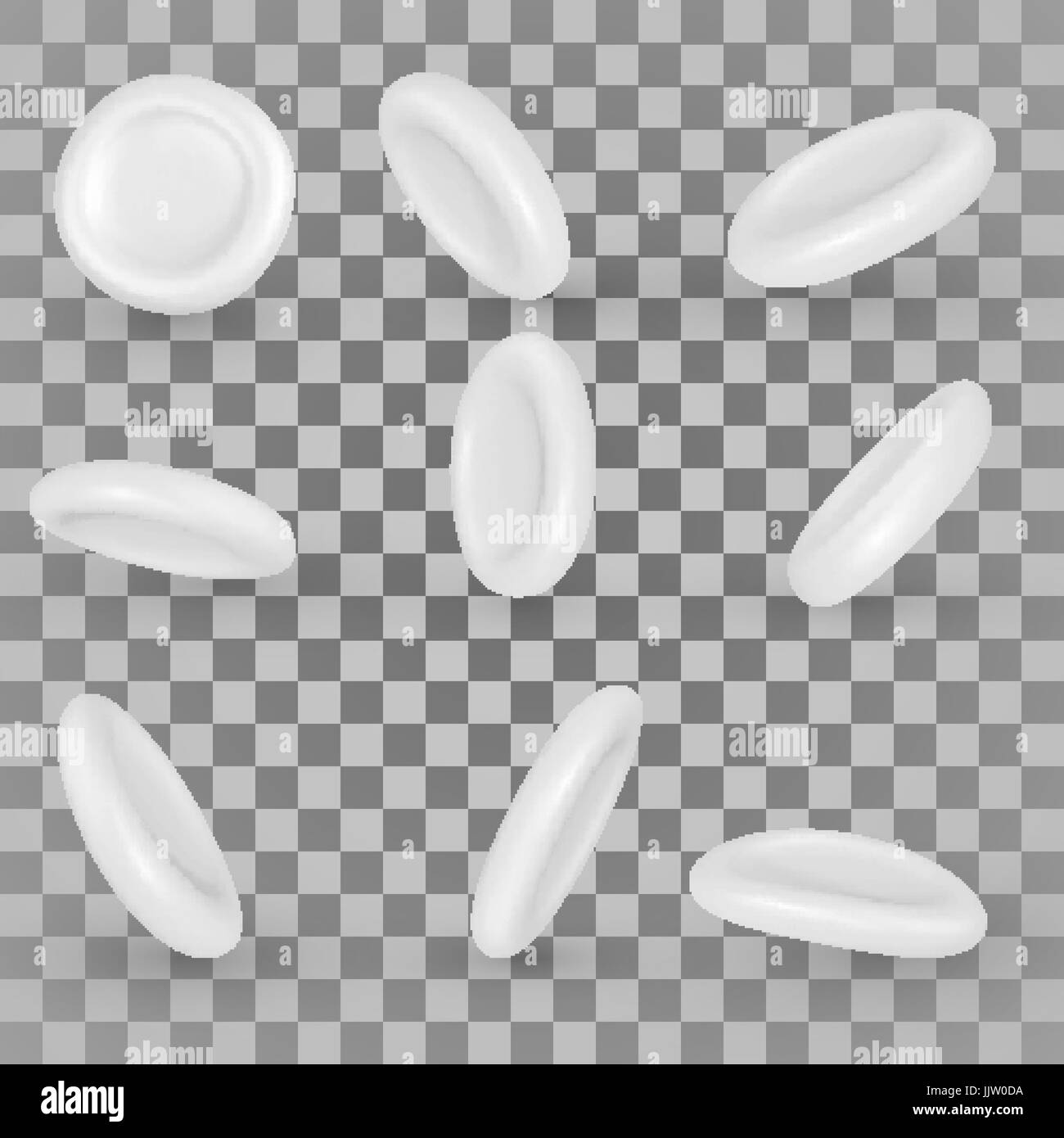 Vector White Blood Cells Stock Vector Image & Art - Alamy