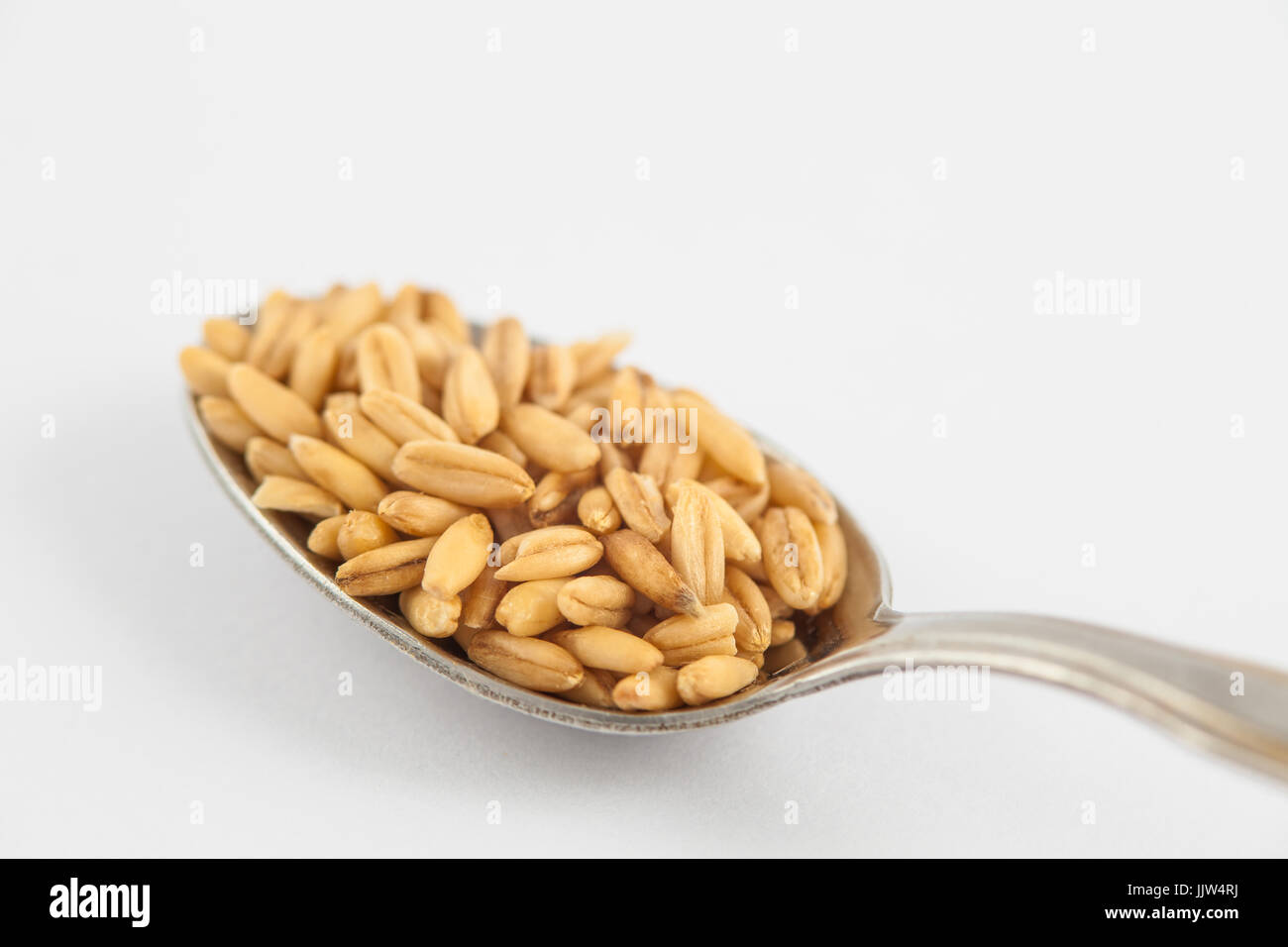 Oat avena sativa hi-res stock photography and images - Alamy